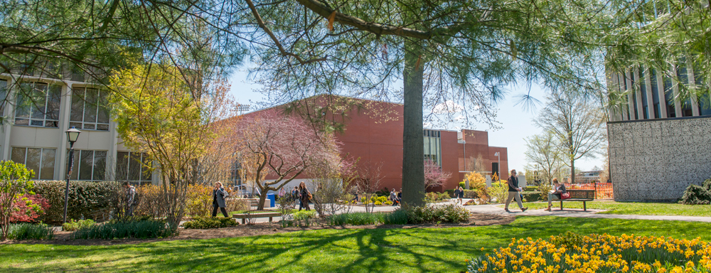 Adelphi University - Learning Curve