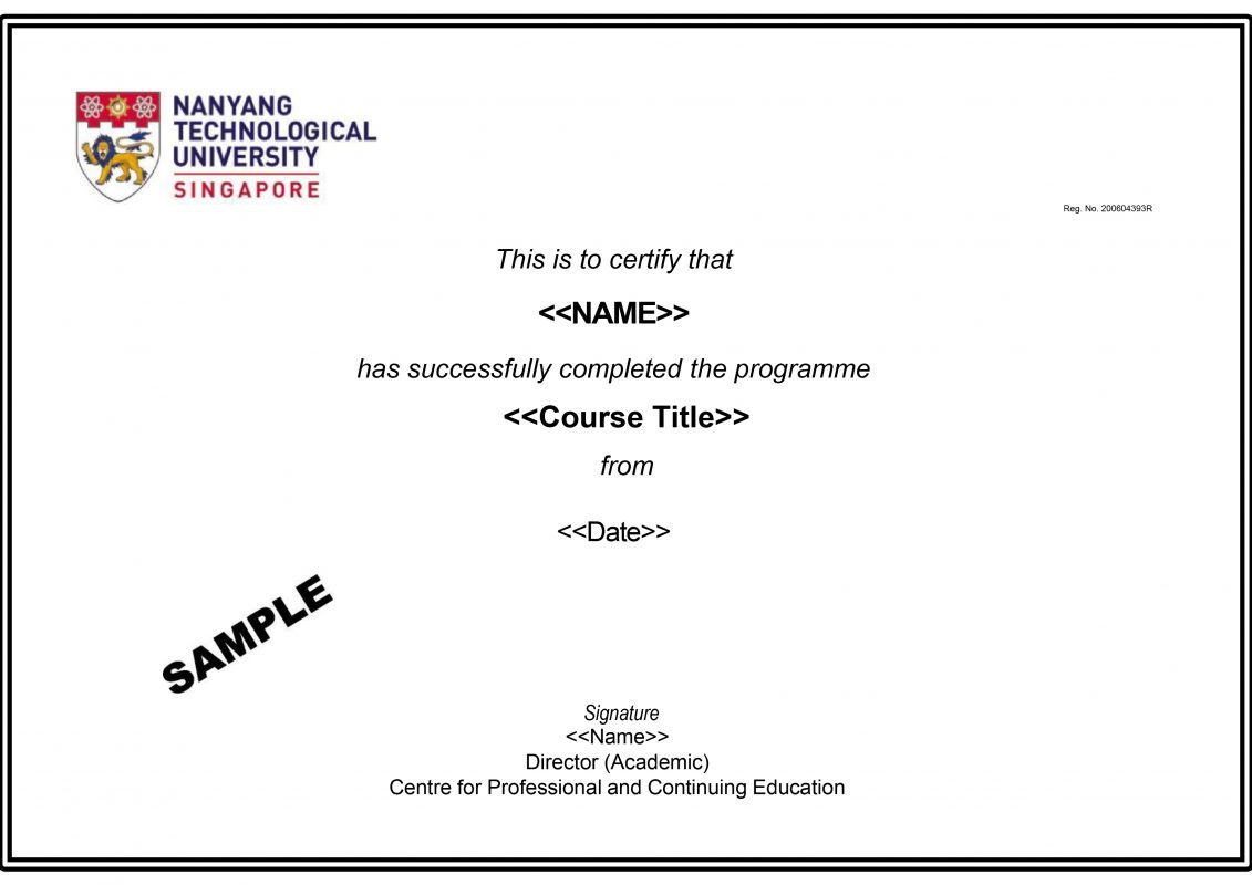 Nanyang Technological University Study Camp 30 June - 7 July 2024